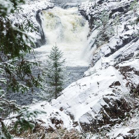 Karelian Bachelorette party | Big Country Travel