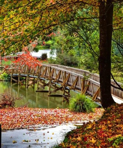 Australia Classical Dressage Getaway | Horse Tours Club