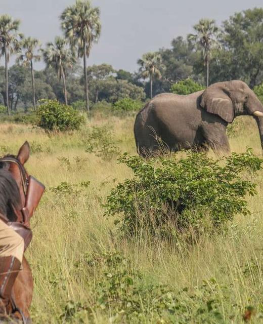 Horse Riding Holidays in Sweden | Horse Tours Club