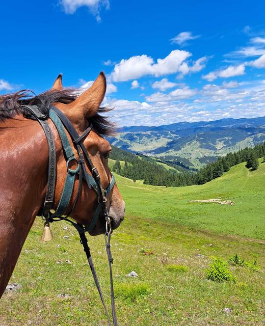 Horseback Riding Weekend Getaways | Horse Tours Club