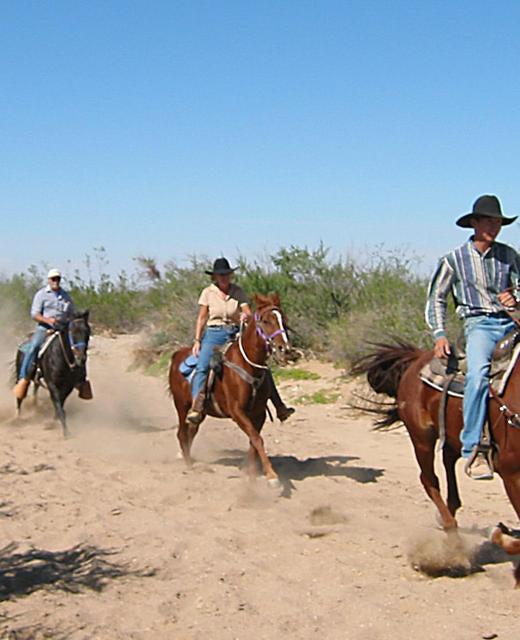 Horseback Riding in the USA: Tours & Ranch Holidays | Horse Tours Club