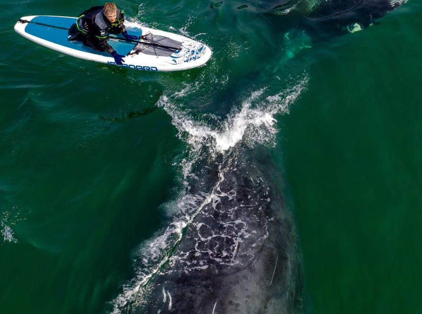 Shantar Islands Tours 2025—2026: Trips and Vacation Packages | Big ...